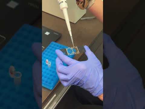 Optimal Platelets for PRP