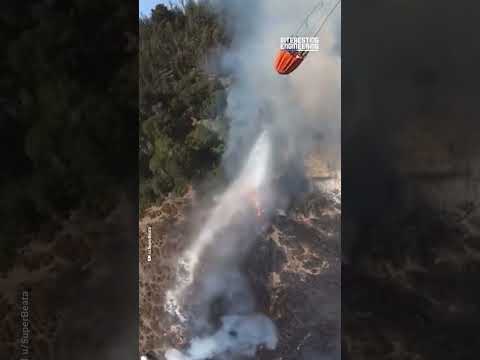 Putting Out a Forest Fire in Style