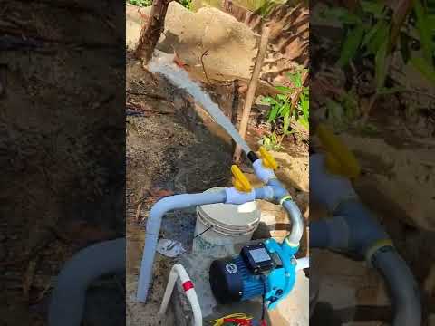 Leo pump 0.5 Hp