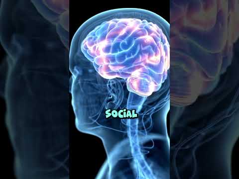 Pregnancy Causes Brain Shrink #pregnancy #brain #health