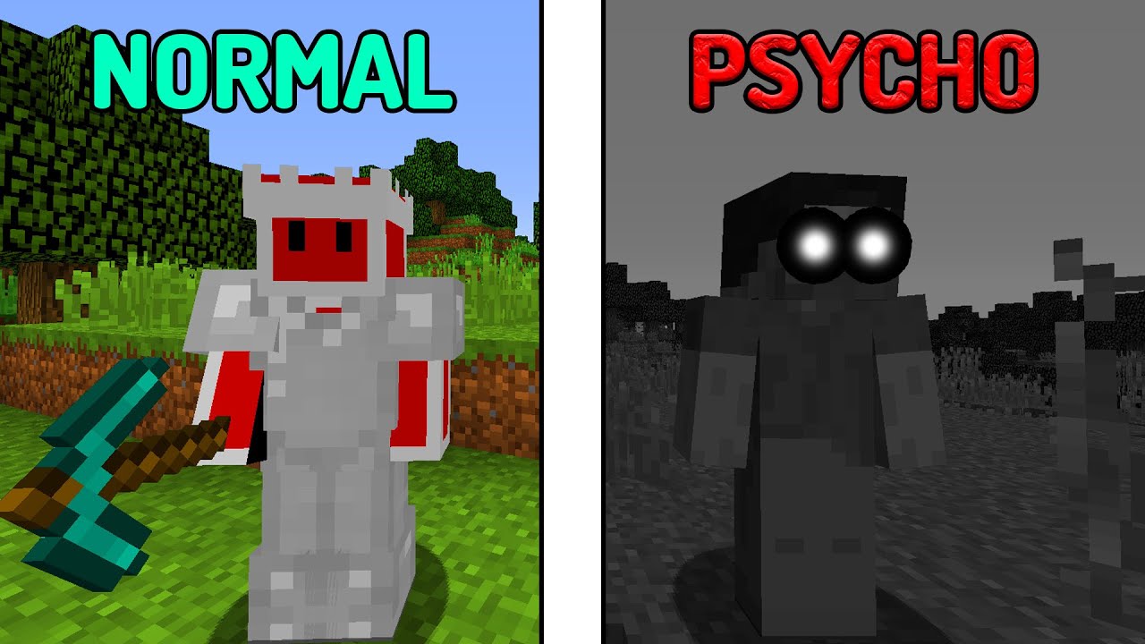 Normal VS Psycho Minecraft Player