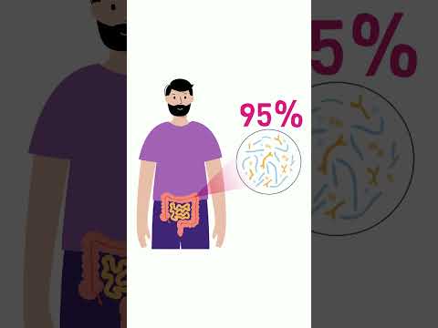🍗How Serotonin Is Produced in the Stomach🍗 #shorts