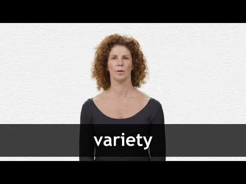 How to pronounce VARIETY in American English