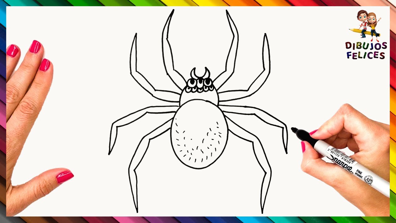 Cómo Dibujar Una Araña Paso A Paso 🕷️ Araña Dibujo