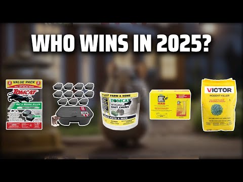 The Top 5 Best Rat Poison in 2025 - Must Watch Before Buying!