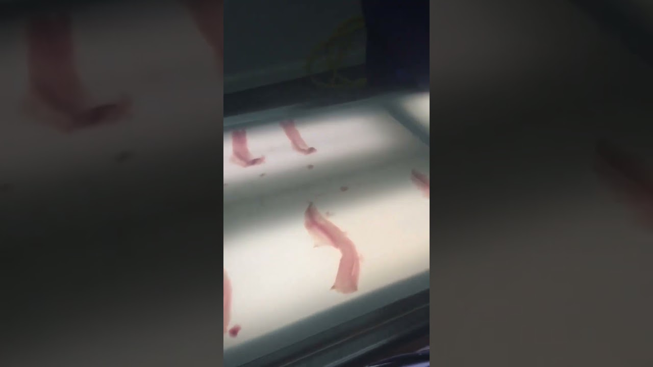 Alaskan Pollock Fillets Production