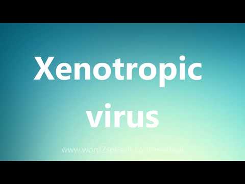 Xenotropic virus - Medical Meaning and Pronunciation