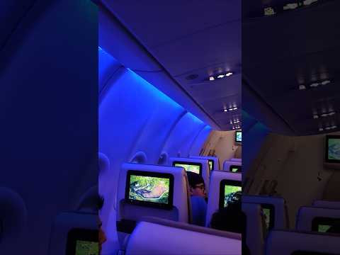 Inside view of Air Mauritius Flight âī¸ #flights #airport #airmauritius #travel #indigo #shorts