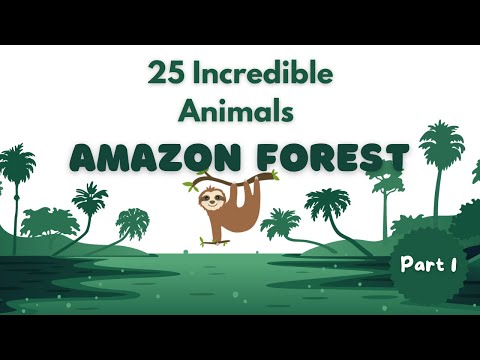 25 Incredible Animals in Amazon Forest I Kids Videos
