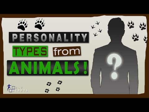 Determine your personality type from your favorite animal |personality test