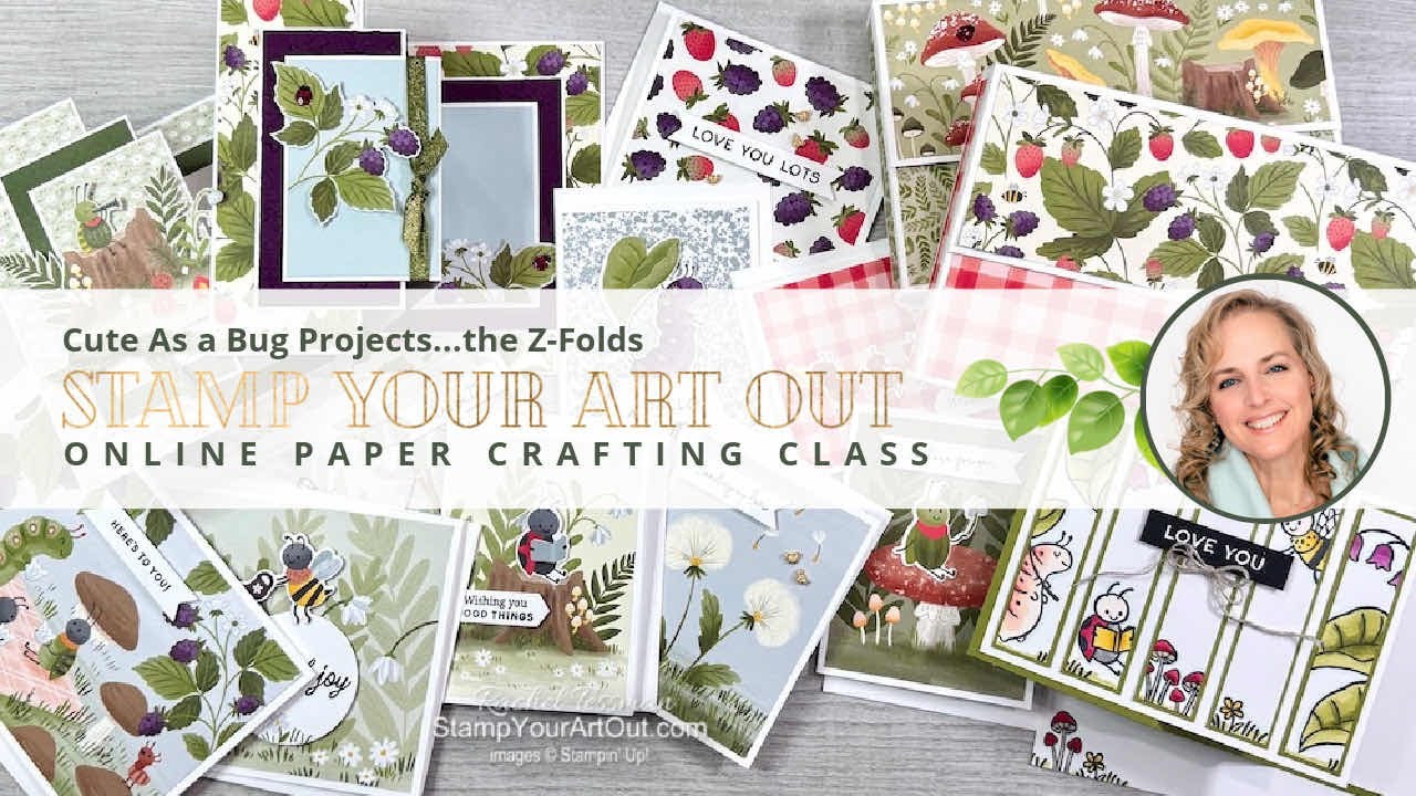 Cute As a Bug Projects…the Z-Folds