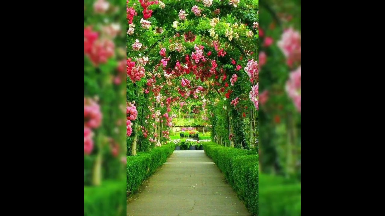 Best 70 Walkway Ideas | Unique Outdoor  Pathway Designs.