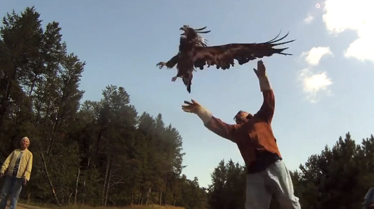 The Eagle Flies Again