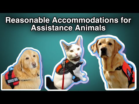 Reasonable Accommodations for Assistance Animals