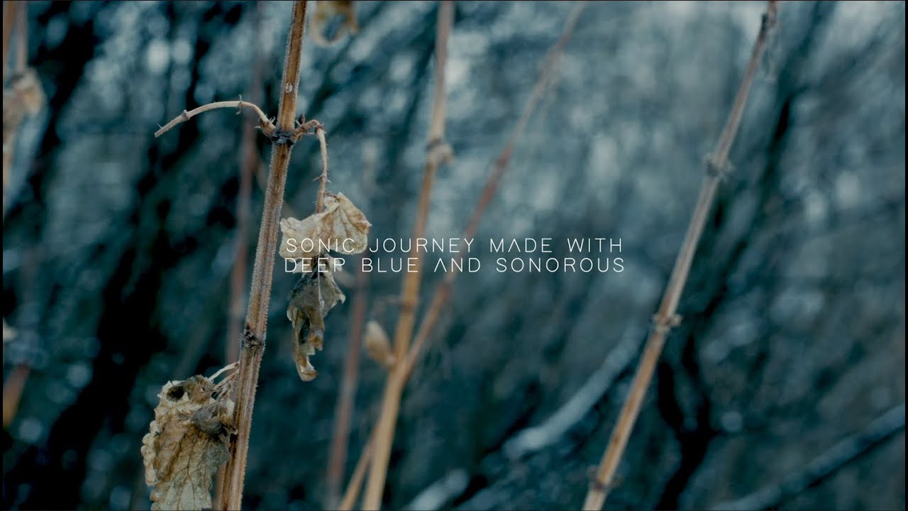 DEEP BLUE + SONOROUS