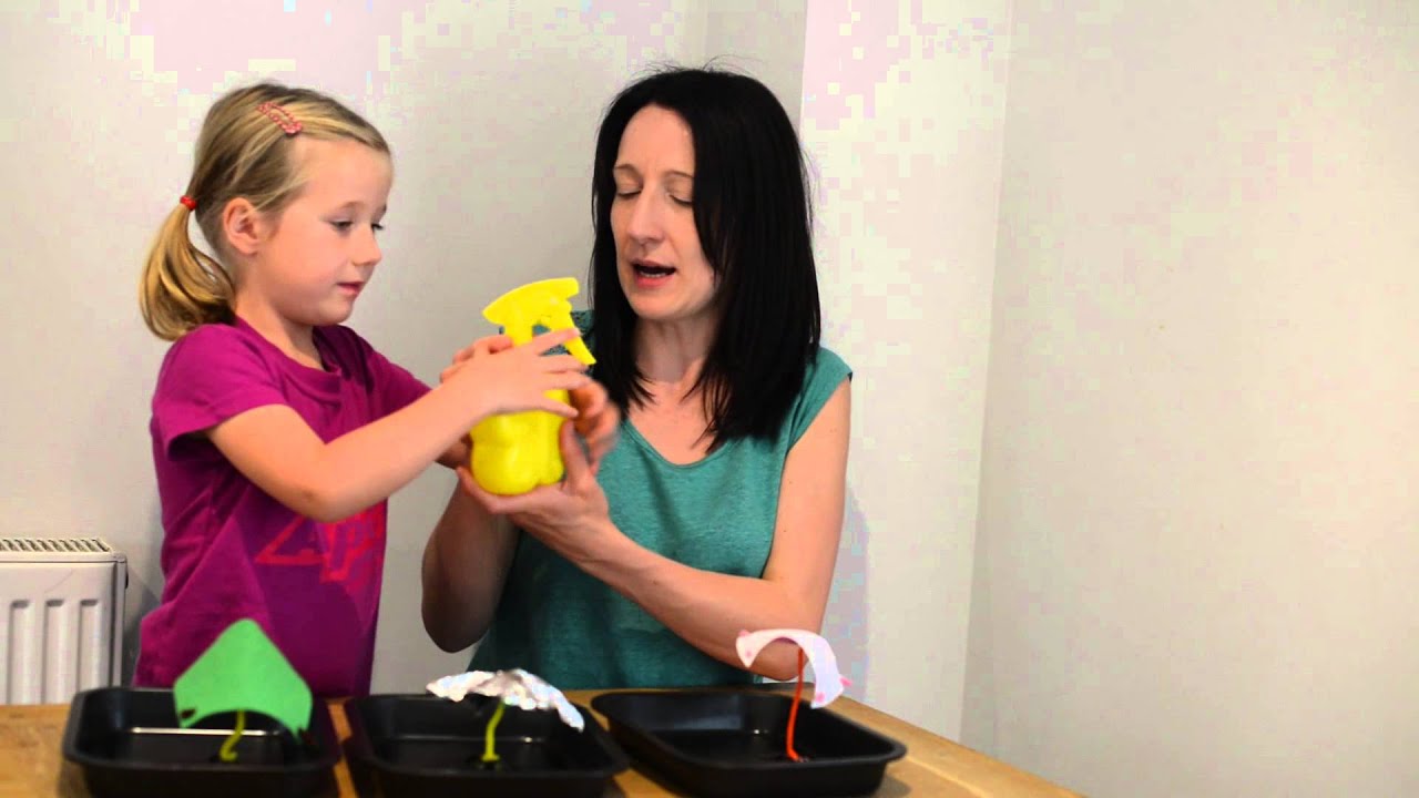 Easy waterproofing experiment