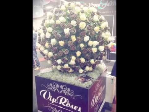 Royal FloraHolland Trade Fair (Created with @Magisto)