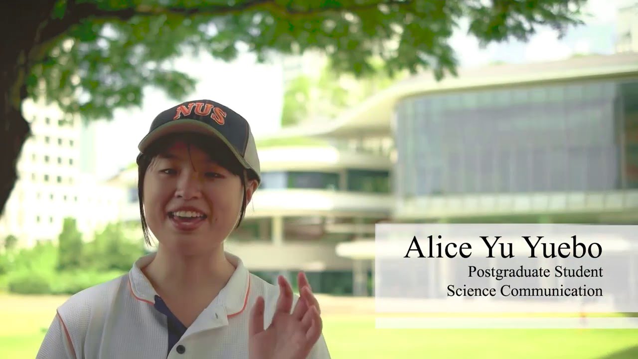 Watch the Solar Eclipse: How to make a Pinhole Projector