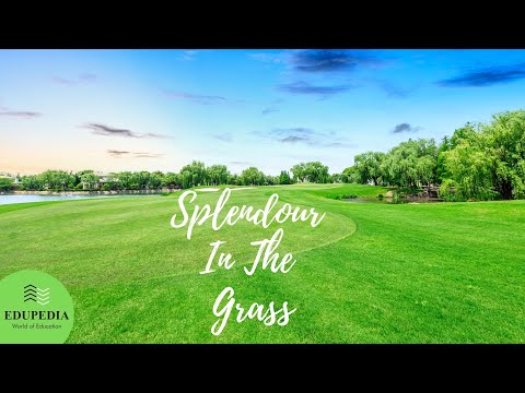 English Poem : "Splendour In The Grass" | Poem Recitation