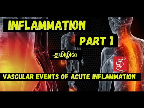 INFLAMMATION PART 1- VASCULAR EVENTS OF INFLAMMATION IN TAMIL