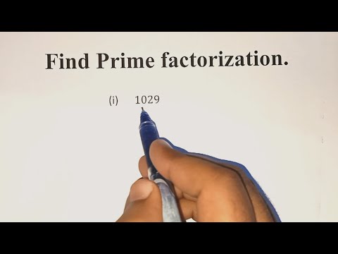 Prime Factorization of 1029: Step-by-Step Solve
