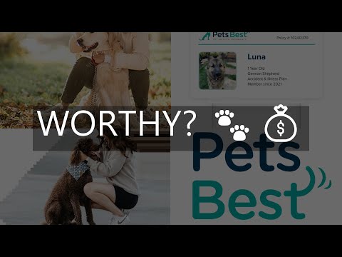 pets best insurance review is it worth it