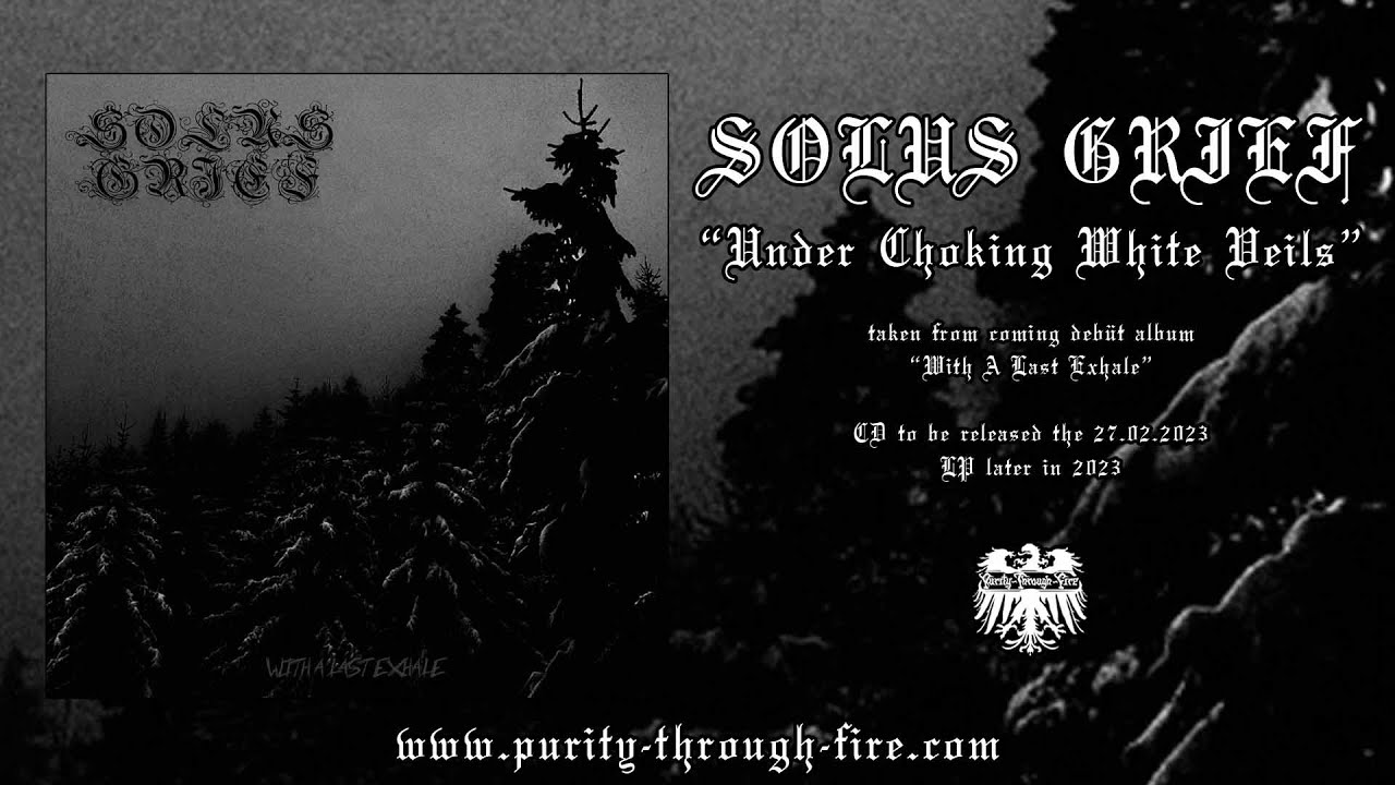 Newsflesh #4 (66) / 2023 | Chaos Vault