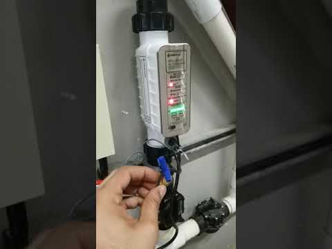 Pentair Intellichlor Flow Switch Replacement #shorts #diy #youtubeshorts