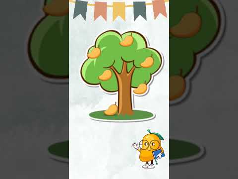 Colors for Kids |Color names in English |Yellow color quiz| #youtube #kids #colors