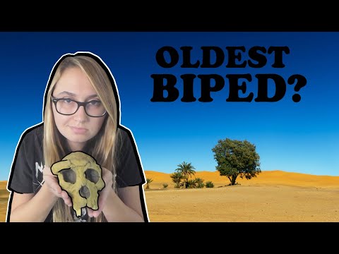 Sahelanthropus tchadensis: Biped or Not?