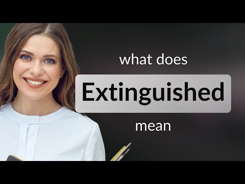 Extinguished | EXTINGUISHED meaning