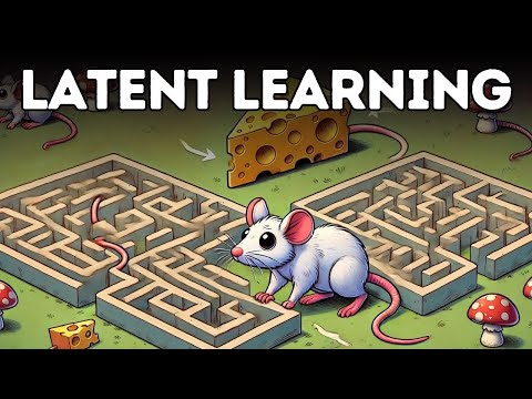 What is Latent Learning? (Explained in 3 Minutes)