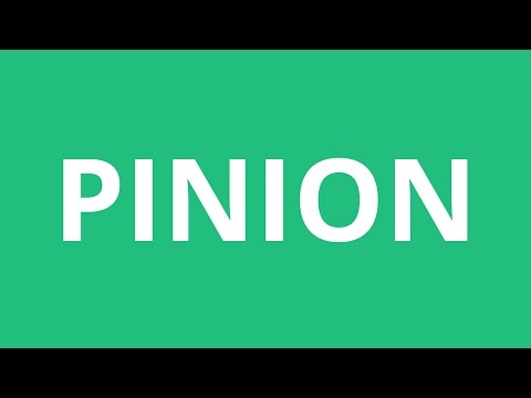 How To Pronounce Pinion - Pronunciation Academy