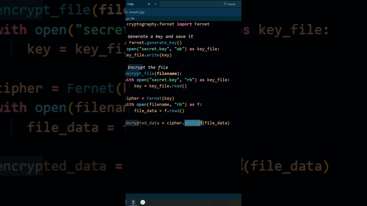 Encrypt & Decrypt Files in Python! 🔑 #programming