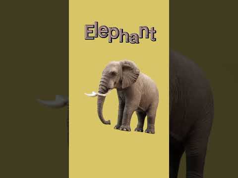 Words starting with the letter E