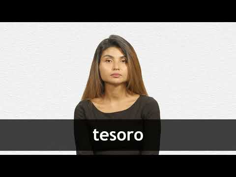 English Translation of “TESORO” | Collins Spanish-English Dictionary
