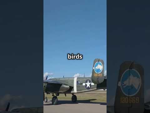 World War Two's B-24 Liberator #wwii #youtubeshorts #usmilitary