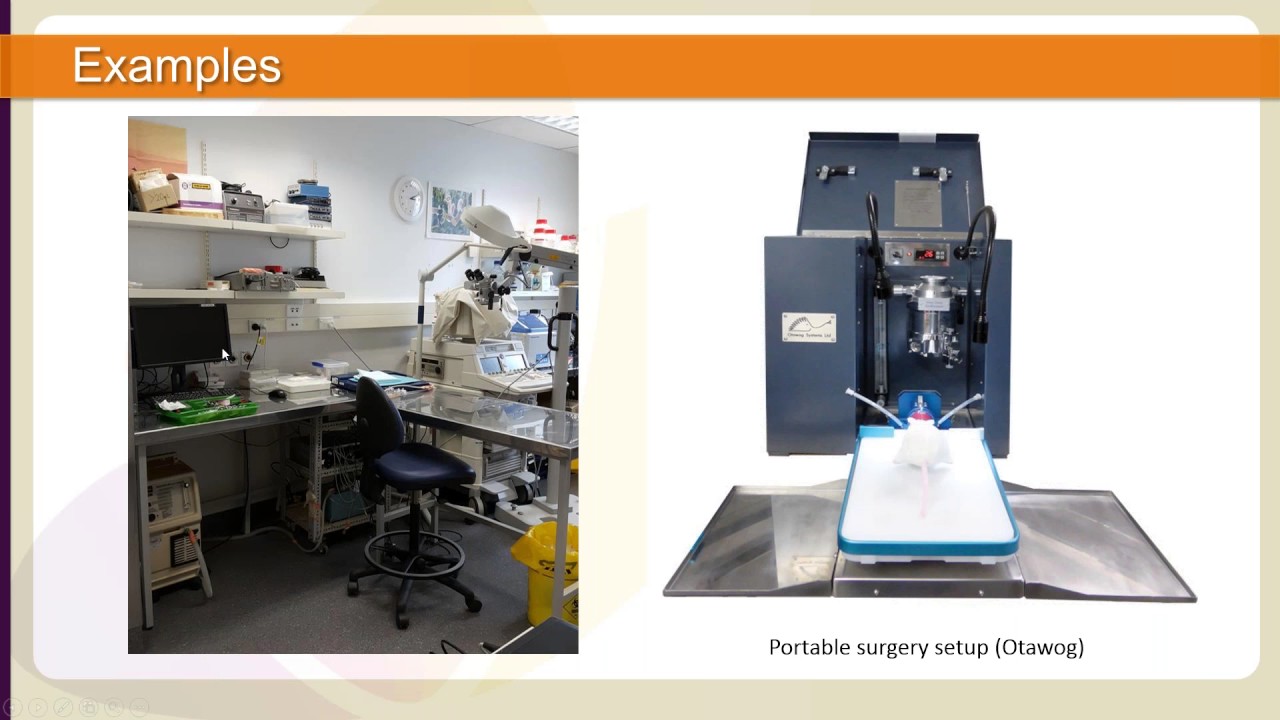 Best Practices for Lab Set Up