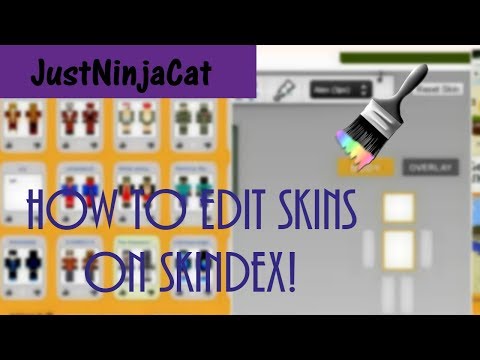 How to Edit Skins on Skindex!