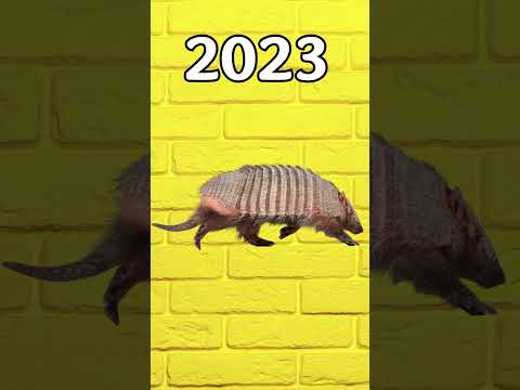 2023 Armadillo vs 5000 bce Armadillo
