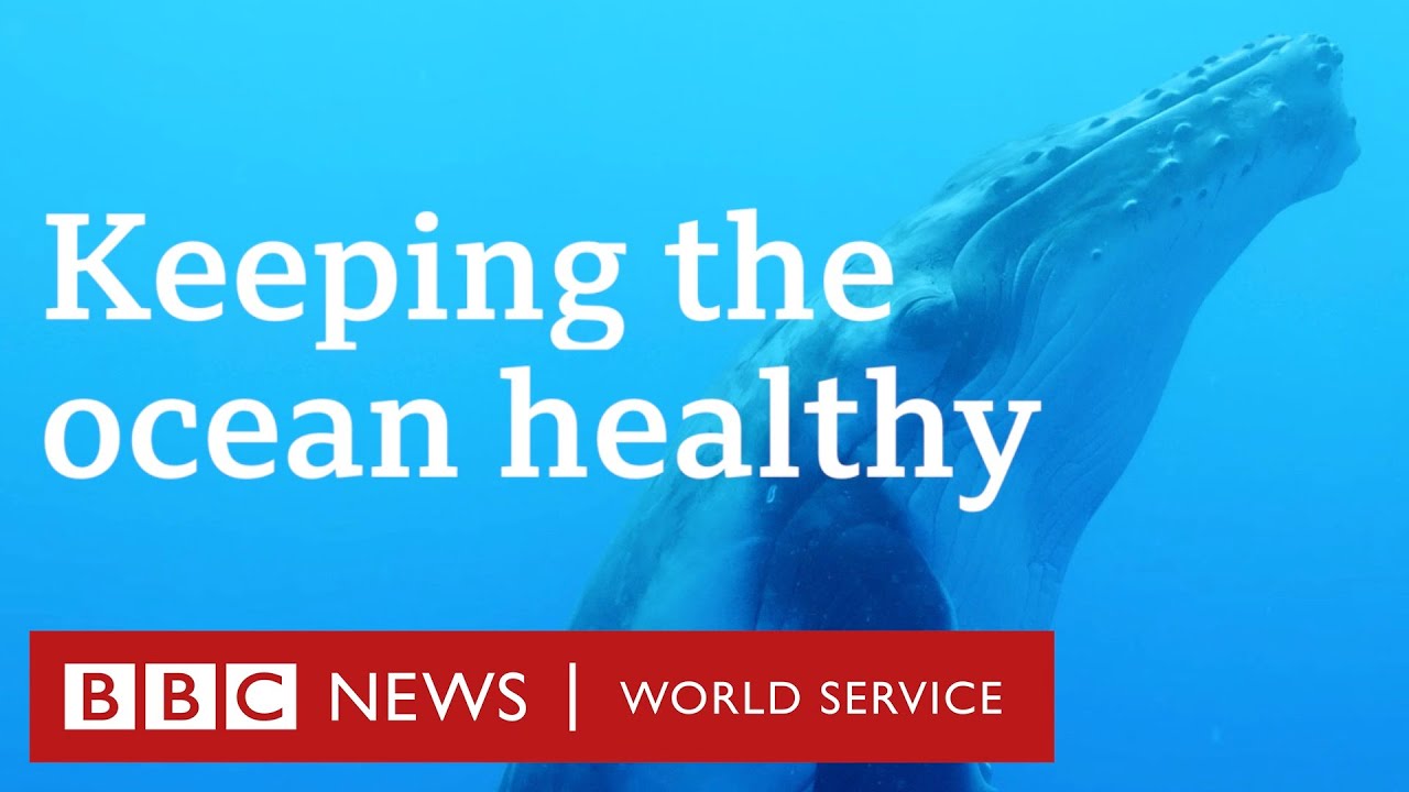 'Rising sea levels are threatening my home'