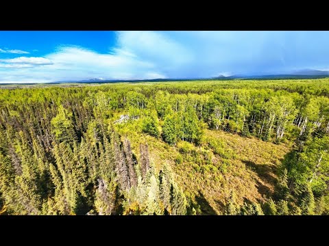 18310 Riddle Ave, Talkeetna, AK