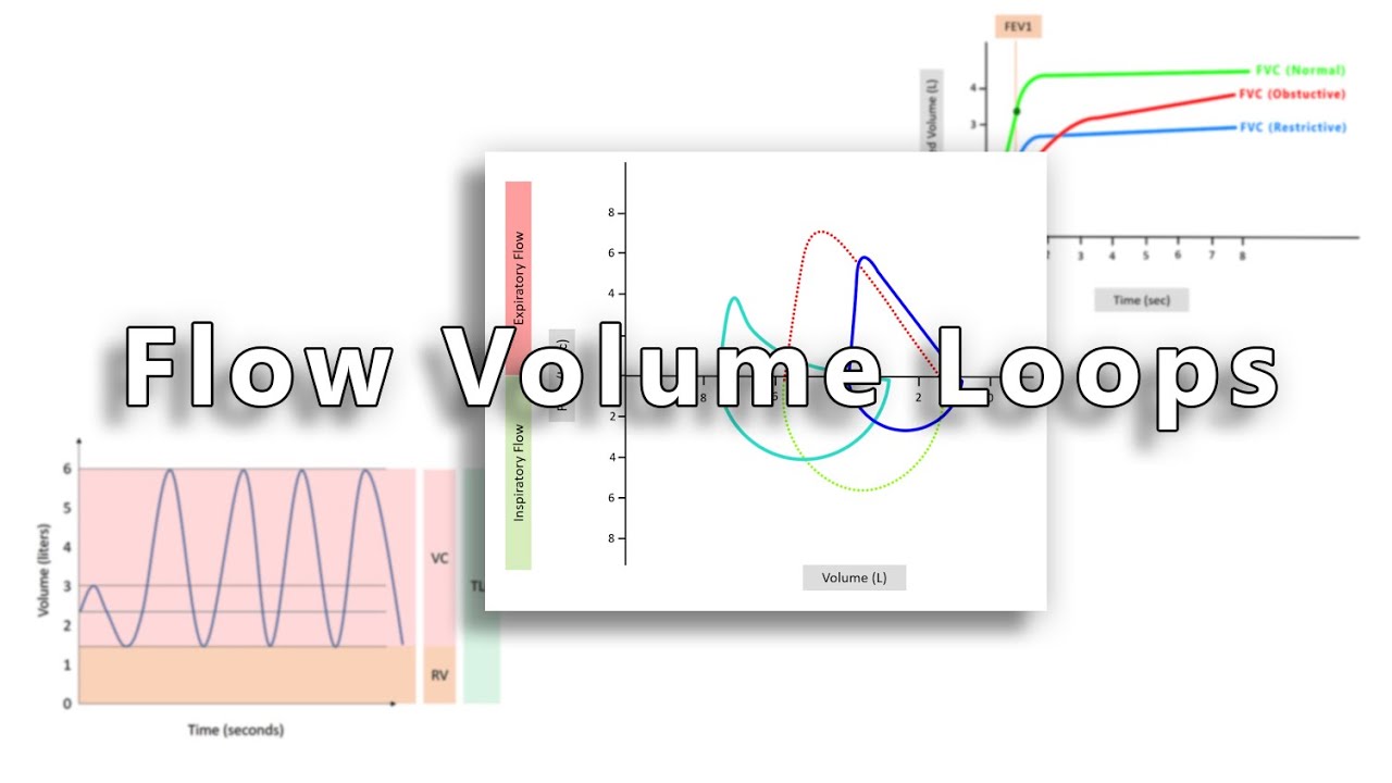 Flow Volume Loop | PFT | Respiratory Physiology | Made Easy