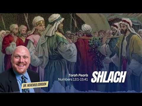 Torah Pearls #37 – Shlach (Numbers 13:1-15:41) - NehemiasWall.com