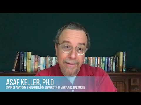 Professor of Neurobiology Discusses Waldorf Education