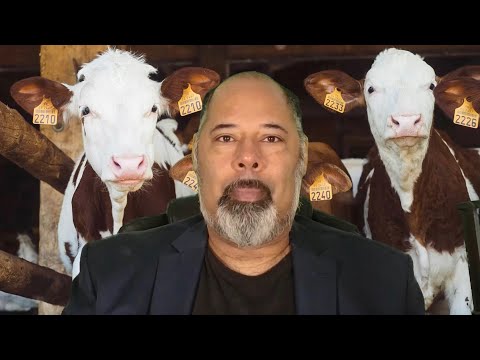 UK citizens boycott Arla Foods and supermarkets over Bovaer ‘net zero ...