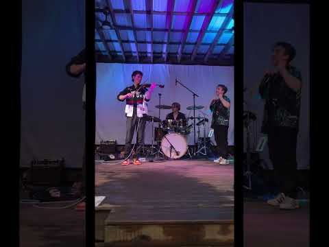 Bridge Lyra 5-String Electric Violin "Red Marble" | Reverb