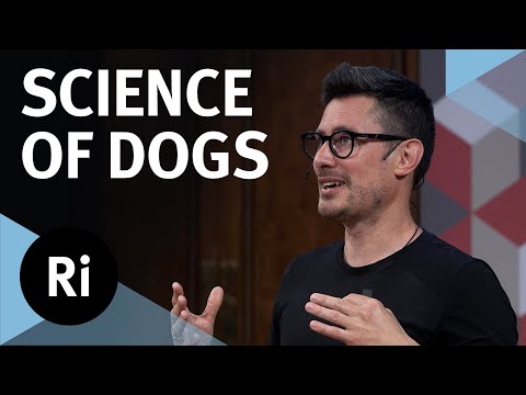What can science tell us about dogs? – with Jules Howard
