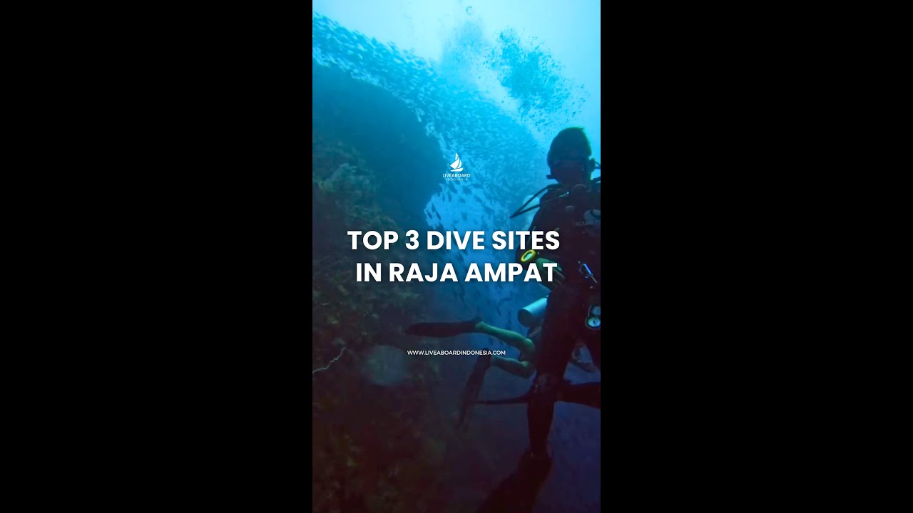 Top Dive Sites in Raja Ampat – A Liveaboard Adventure Awaits!