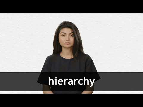 How to pronounce HIERARCHY in American English